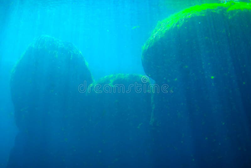 Underwater landscape stock photo. Image of coral, ocean - 259980094
