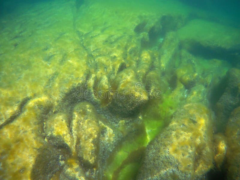 Underwater Landscape in the Sea. Caspian Sea Stock Image - Image of ...