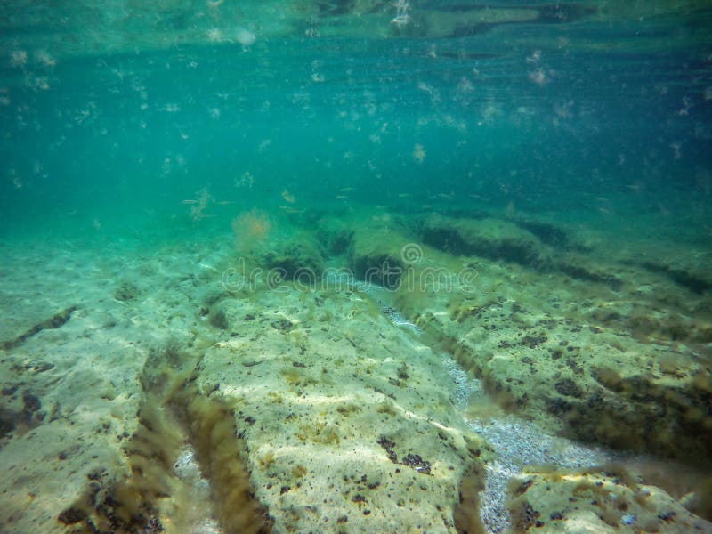 Underwater Landscape in the Sea. Caspian Sea Stock Image - Image of ...