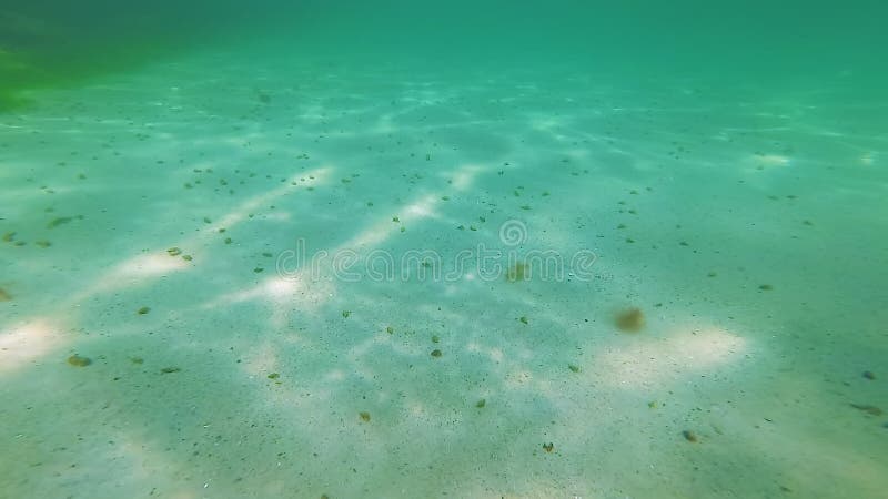 Underwater Landscape, Sun Glare on the Sandy Seabed in the Sandy Stock ...