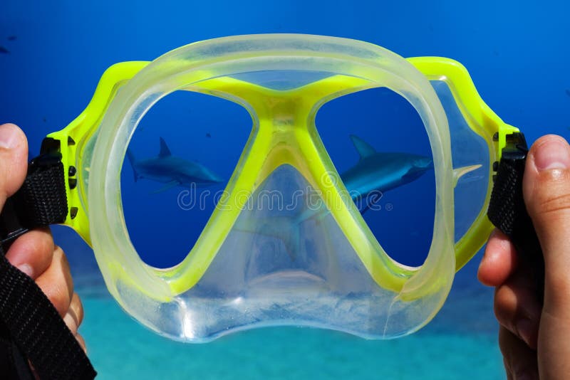 Underwater Mask in Hands of Diver and Big Shark Stock Image - Image of ...