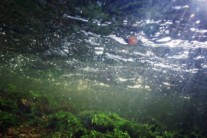 Underwater in Mountain River Stock Photo - Image of jackson, park: 61310818