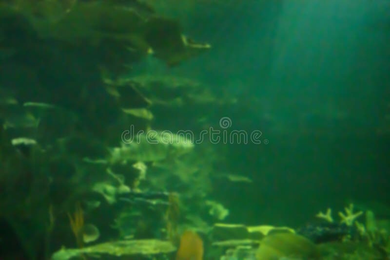 Underwater Ocean Abstract Blur Background Stock Image - Image of blur ...
