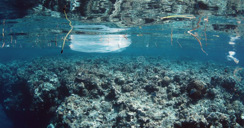 Plastic Pollution Destroying Ocean Floor Ecosystem Stock Footage ...