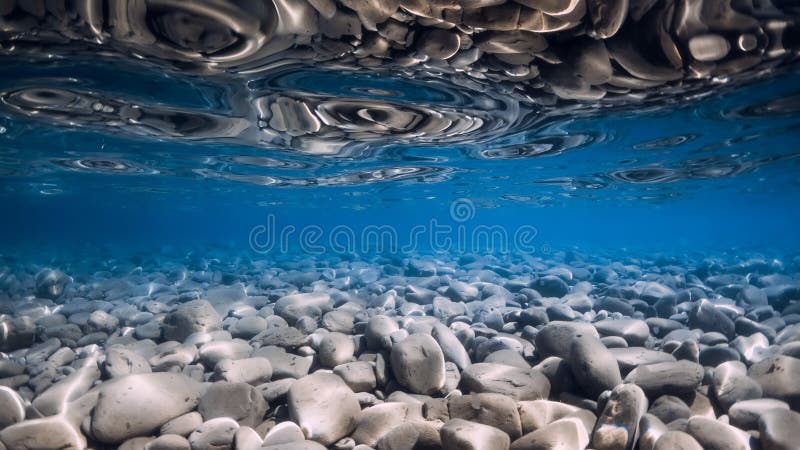 Underwater Ocean with Stones Bottom, Reflection and Clear Water Stock ...