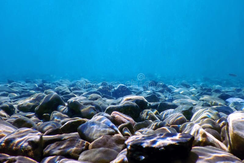 Underwater Pebbles stock image. Image of clearwater, lakes - 90312171