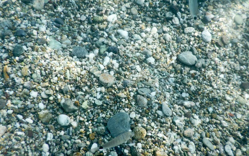 Underwater Pebbles stock image. Image of clearwater, lakes - 90312171