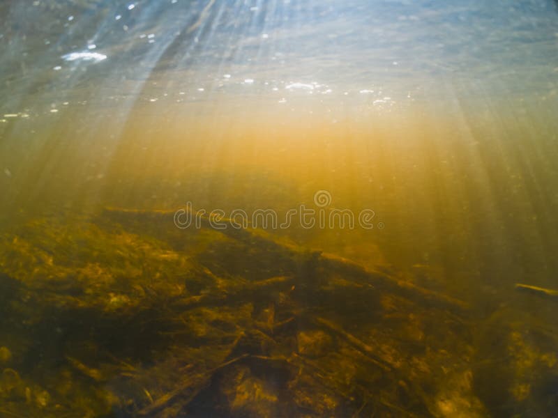 Underwater Photo, Bottom of the Pirita River with Muddy Water. the Sun ...
