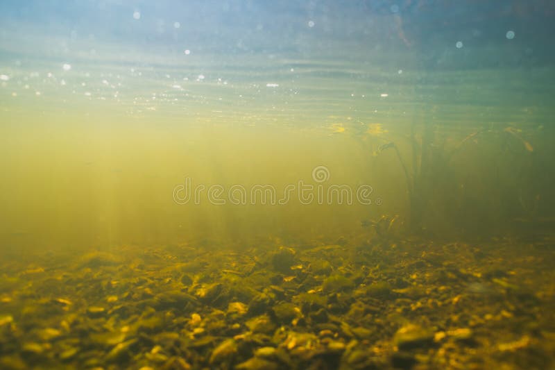 Underwater Photo on the Pirita River, Sunlight Passes through the Water ...