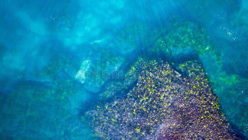 Underwater Plants and Bright Blue Water Stock Photo - Image of closeup ...