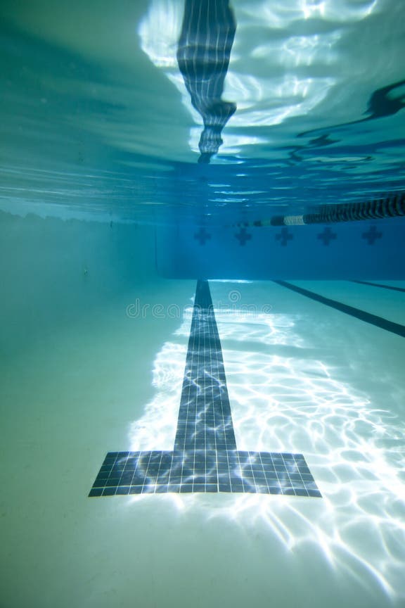 Underwater pool shot stock photo. Image of lane, divider - 12492844