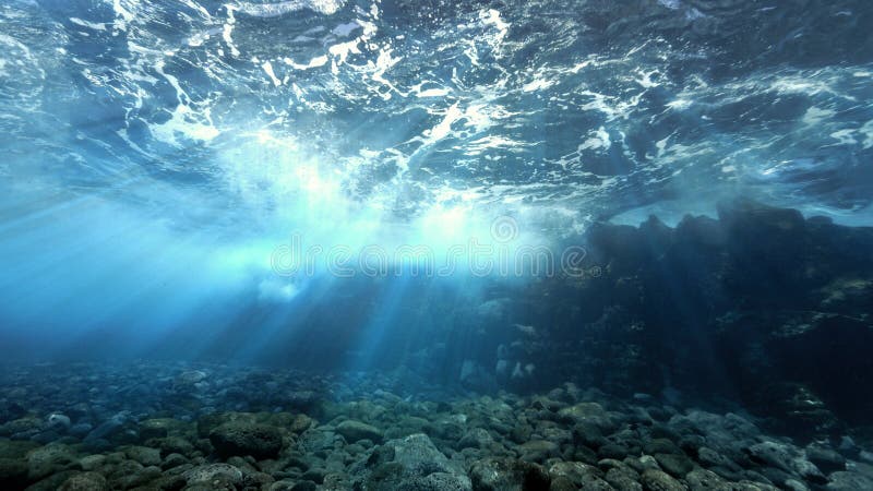 4,674 Light Rays Underwater Stock Photos - Free & Royalty-Free Stock ...