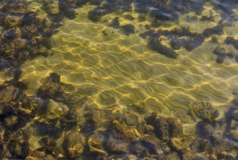 Underwater Reflection of Sand Stock Photo - Image of liquid, reshikhola ...
