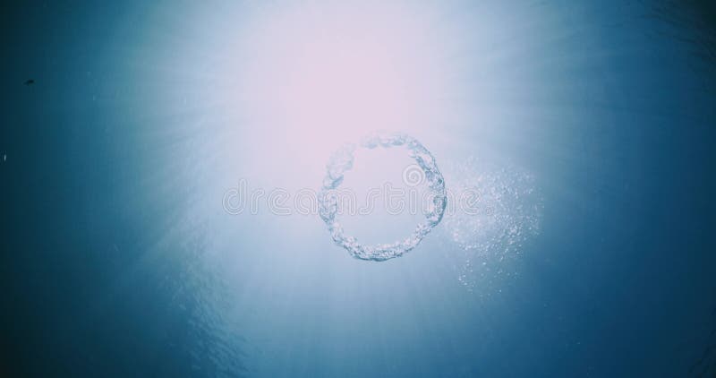 Underwater Bubbles Texture in Transparent Ocean. Bubbles in Tropical Sea Stock Video - Video of ...