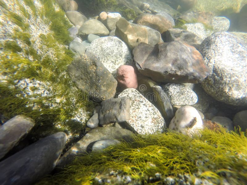 Underwater River Rocks Being Washed by Mountain Stream Stock Image ...