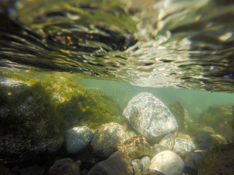 Underwater River Rocks Being Washed by Mountain Stream Stock Photo ...