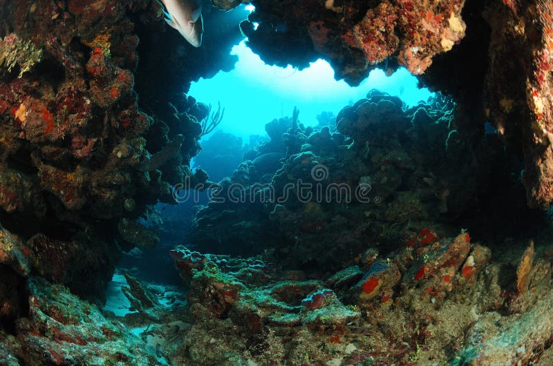 Underwater rock arch stock photo. Image of nature, natural - 23081940