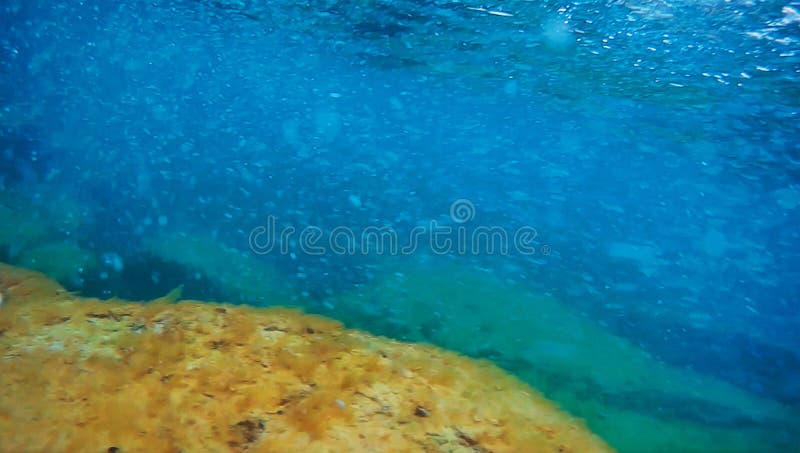 Underwater Rock Covered with Algae Stock Image - Image of seascape ...