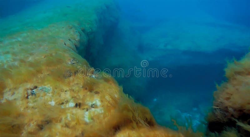 Underwater Rock Covered With Algae Stock Photo - Image of marine, deep ...