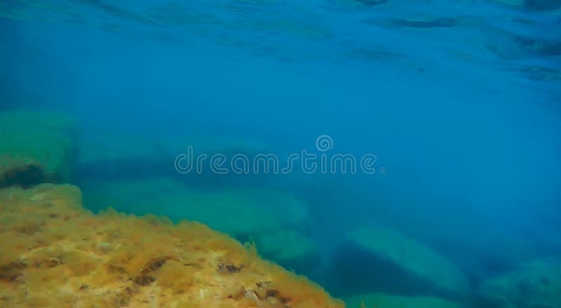 Underwater Rock Covered with Algae Stock Image - Image of bottom ...