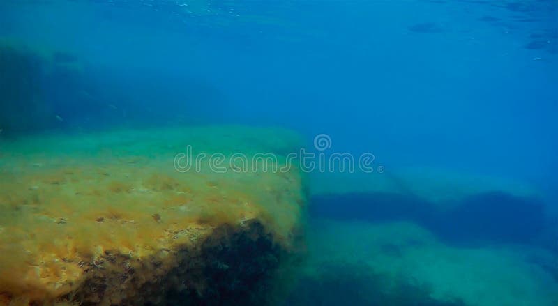 Underwater Rock Covered with Algae Stock Image - Image of surface ...