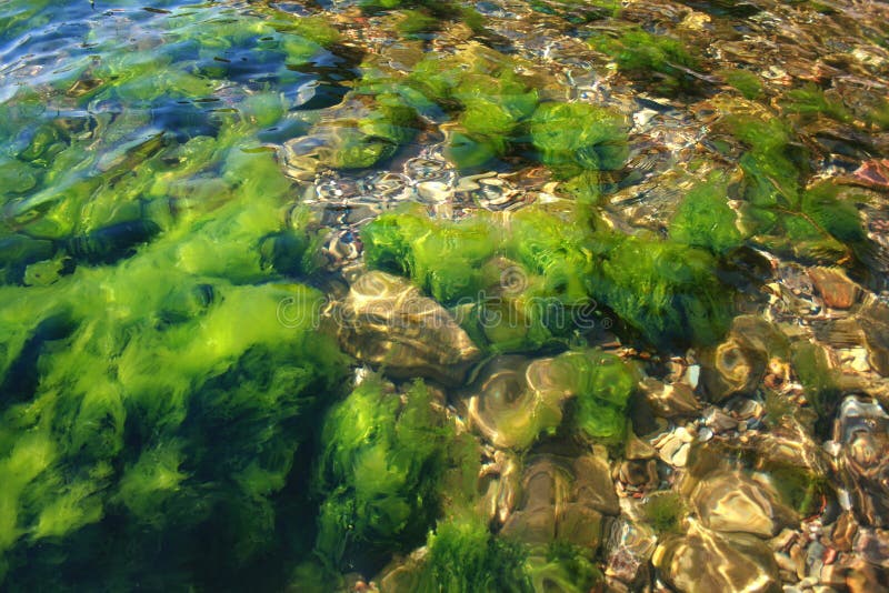 Underwater rocks stock image. Image of swimming, mirror - 15240025