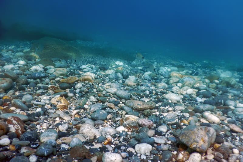 Underwater Rocks and Pebbles on the Seabed Stock Image - Image of ocean ...
