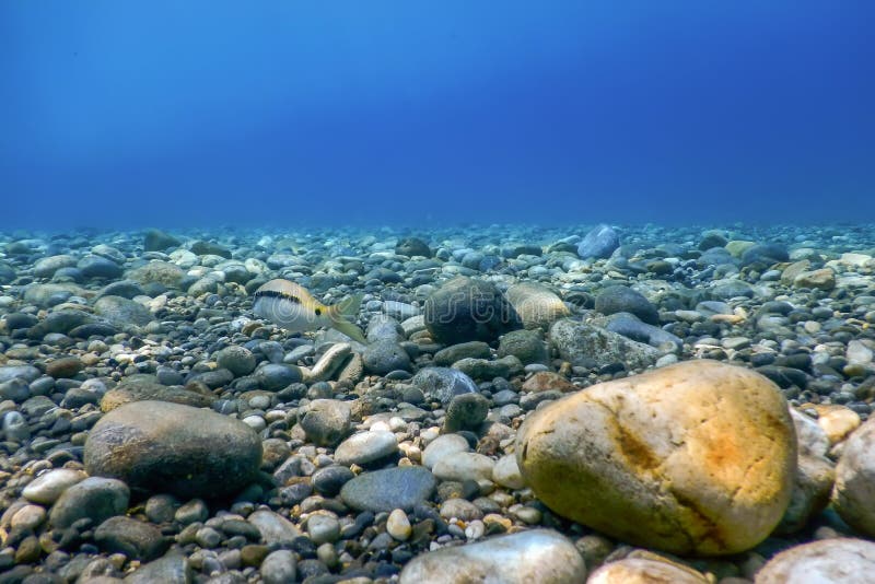 Underwater Rocks and Pebbles on the Seabed Stock Photo - Image of ...