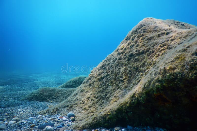 Underwater Rocks and Pebbles on the Seabed Stock Image - Image of ...