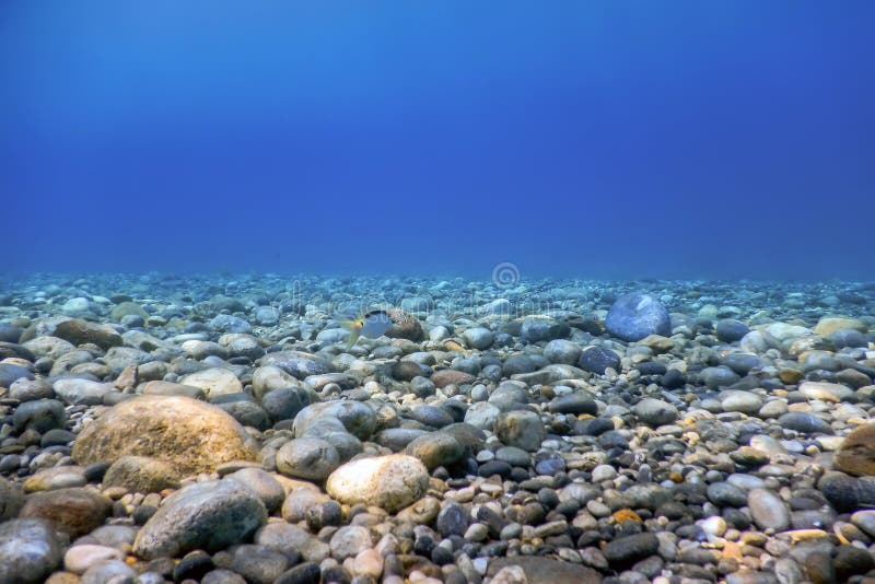 Underwater Rocks and Pebbles on the Seabed Stock Image - Image of ...