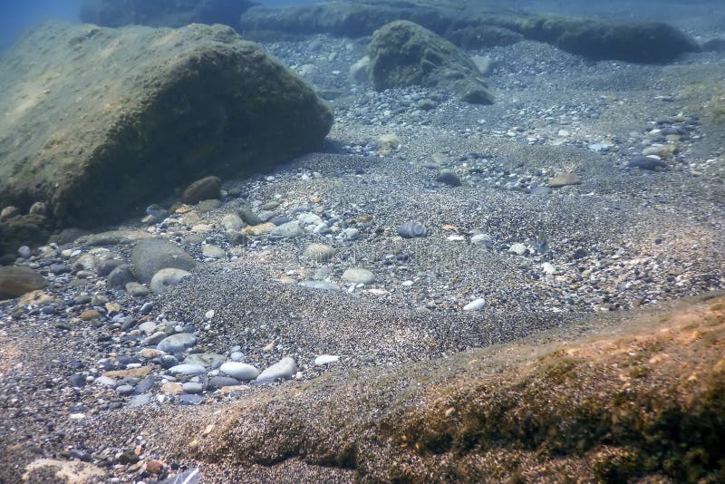 Underwater Rocks and Pebbles on the Seabed Stock Photo - Image of scene ...