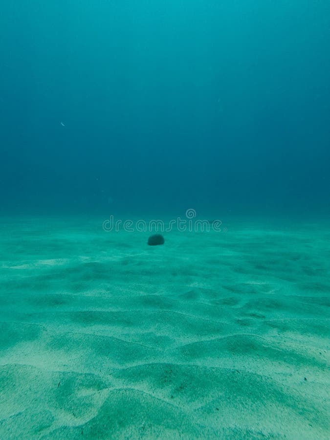Underwater sand dunes view stock image. Image of view - 156517019