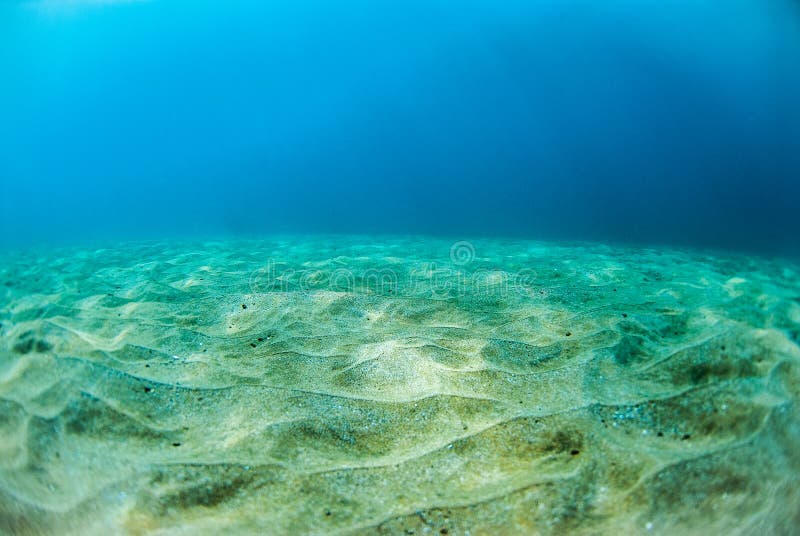 Underwater Sand Floor In The Ocean Stock Photo - Image of brava ...