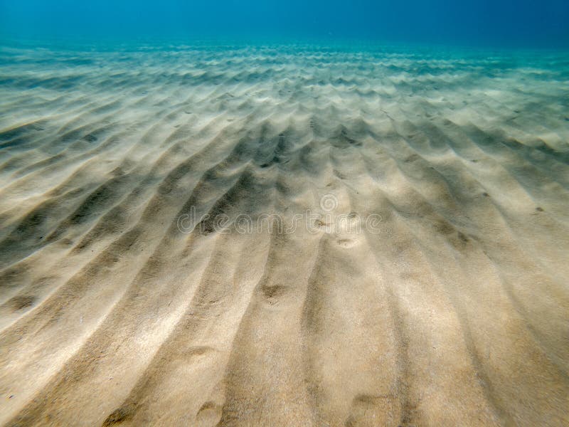 Underwater Sandy Seabed with Ripples Stock Photo - Image of nature ...