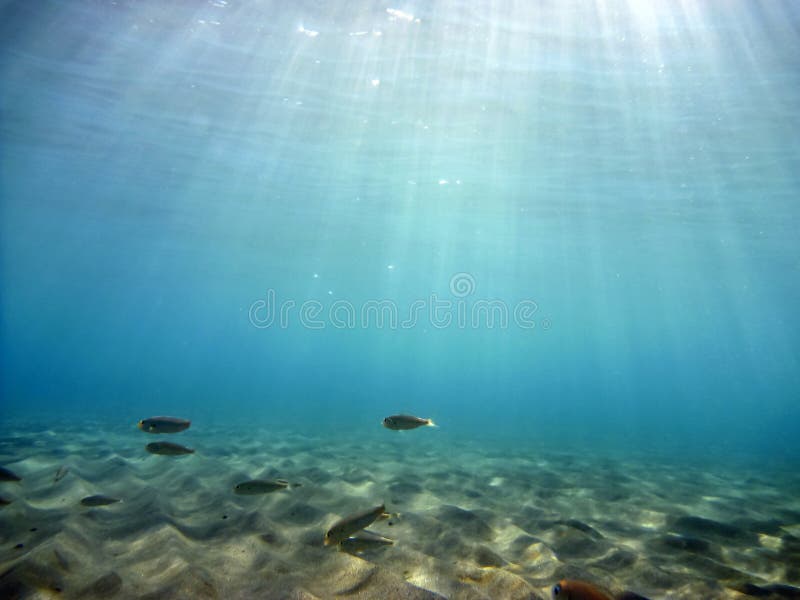 Urine Sample stock image. Image of healthy, test, healthcare - 5148015