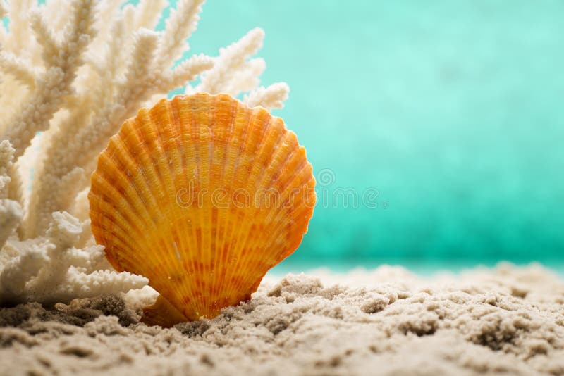 Underwater scene. stock image. Image of ideas, sign, tranquil - 52759681