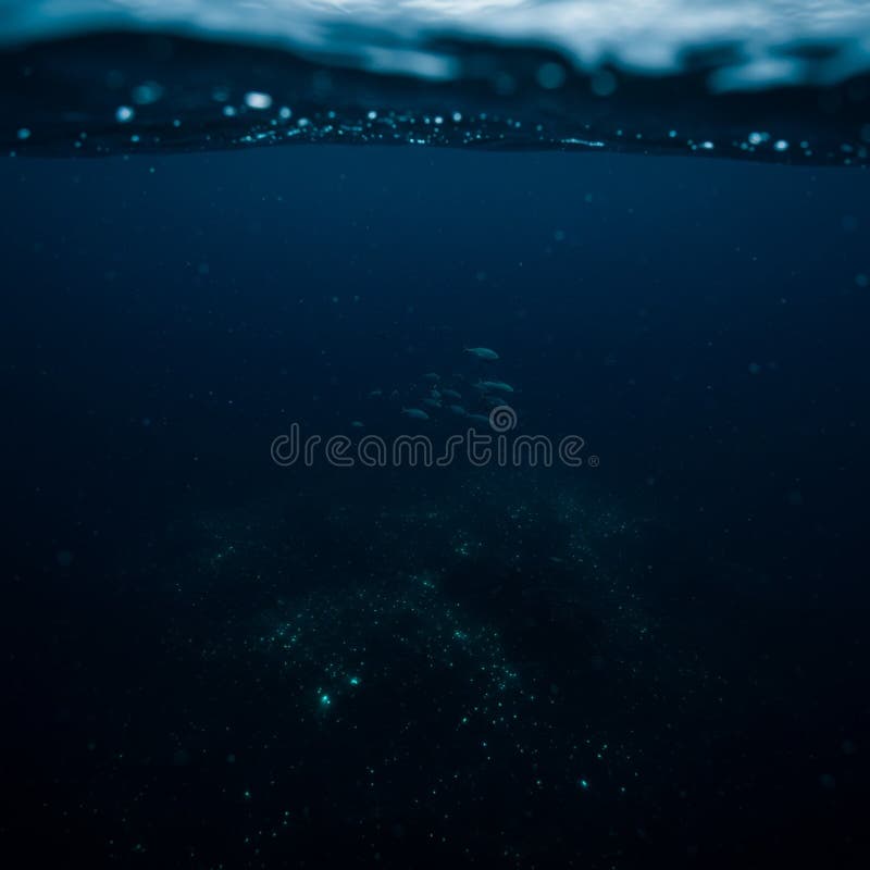 Underwater Scene: Dark Blue Ocean with Bioluminescent Sparkle and Fish ...