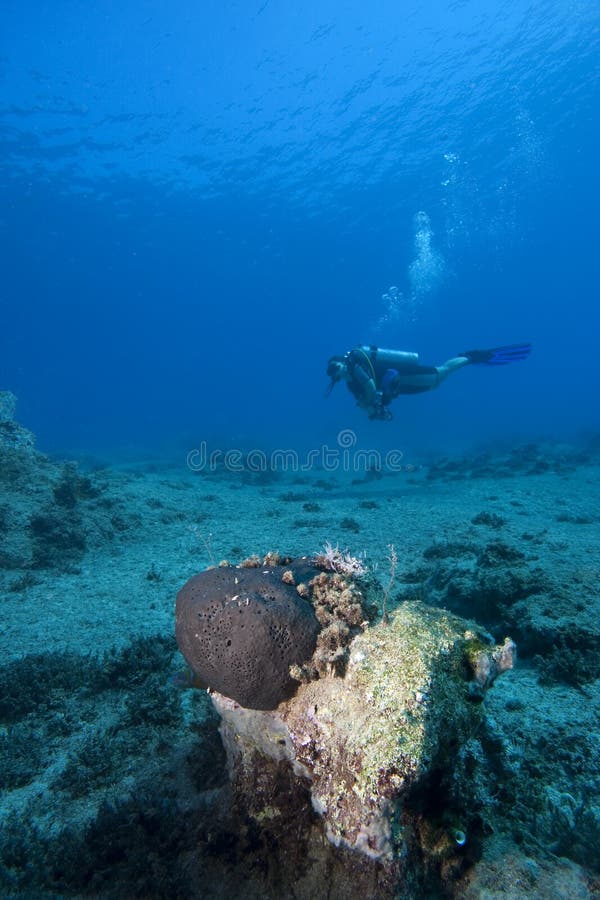 Underwater Scene : Scuba Diver In Deep Water Stock Image - Image of ...