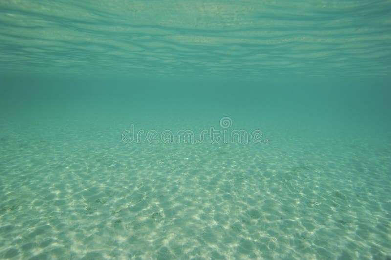 Underwater Scene in Shallow Lagoon Stock Photo - Image of tropical ...