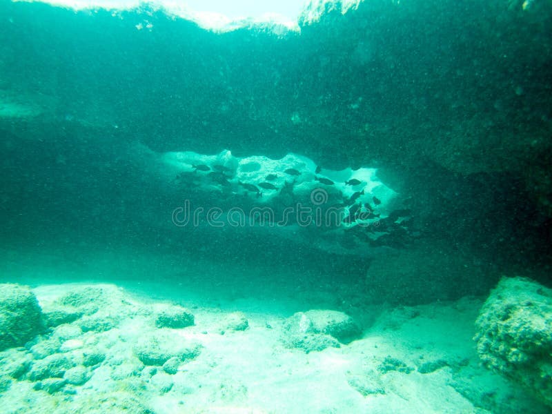 Underwater Scene in Shallow Waters with Light Rays on Ocean Seabed ...