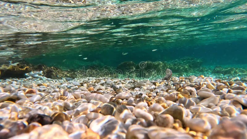 Underwater Scene Showcasing Diverse Seashells and Rocks in Tranquil ...