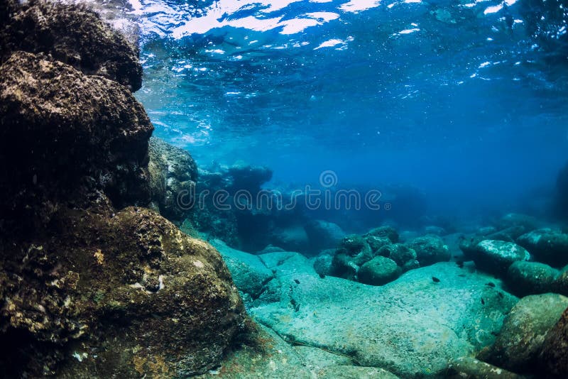 Underwater Scene with Stone Bottom. Tropical Transparent Ocean Stock ...