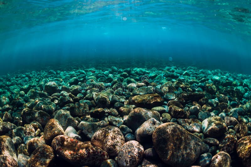 Underwater Ground Texture