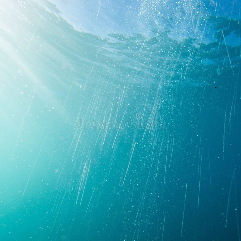 Underwater Scene with Sunlight Streaming through the Water, Creating ...
