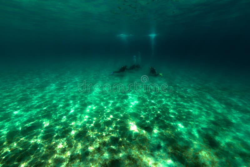 Underwater Scenery and Divers in the Red Sea. Stock Photo - Image of ...