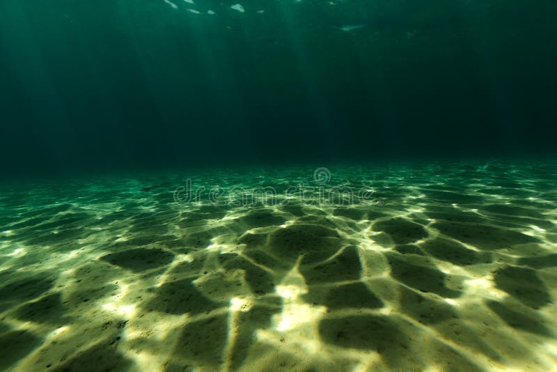 Underwater Scenery of the Red Sea. Stock Photo - Image of underwater ...