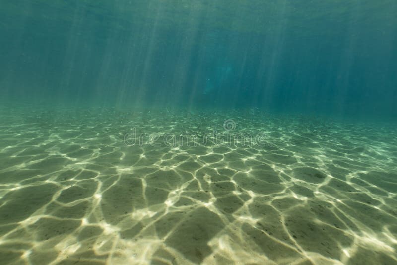 Underwater Scenery of the Red Sea. Stock Photo - Image of ecosystem ...