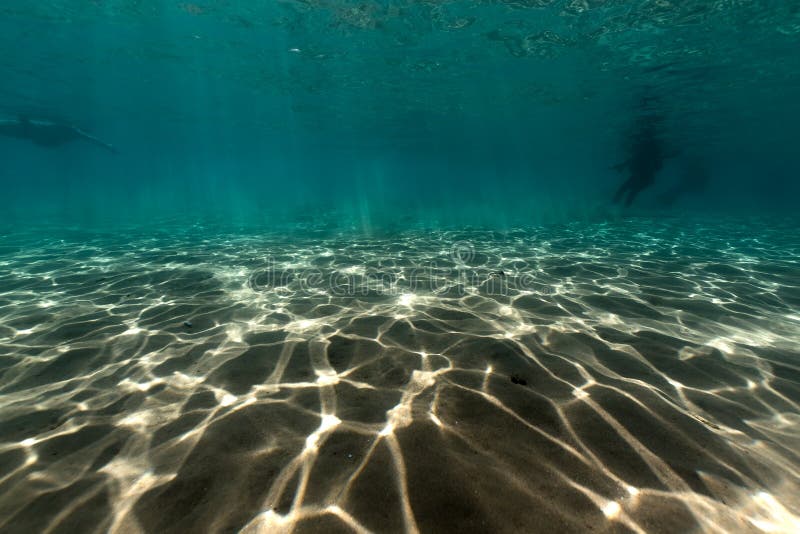 Underwater Scenery in the Red Sea. Stock Photo - Image of ocean, color ...