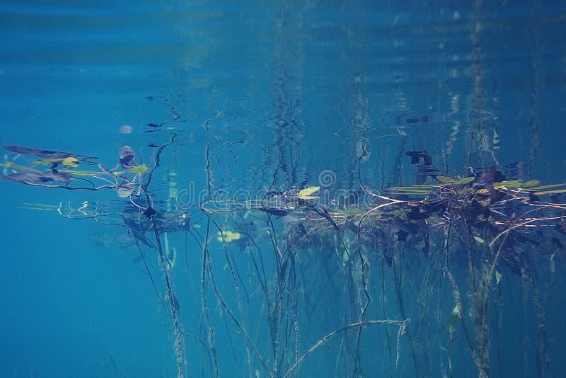 Underwater scenery stock image. Image of drown, island - 61702273