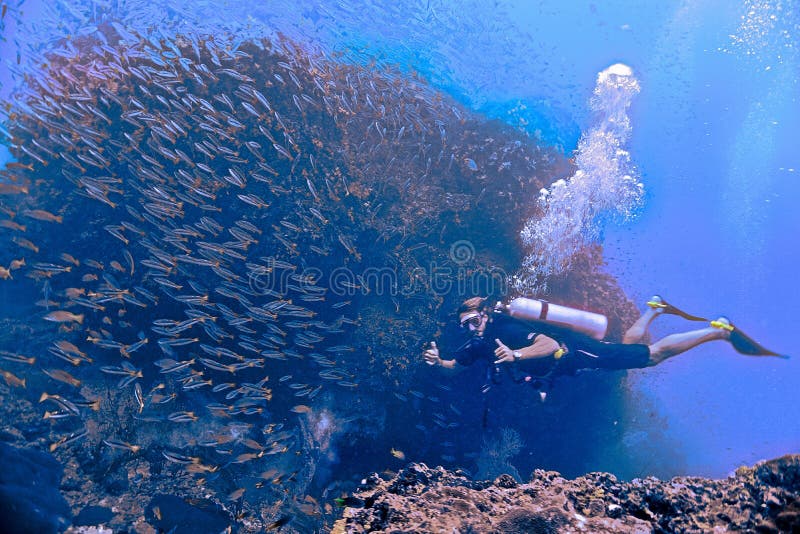 Scuba Dive Boat Crew Beach Launch Editorial Photography - Image of ...